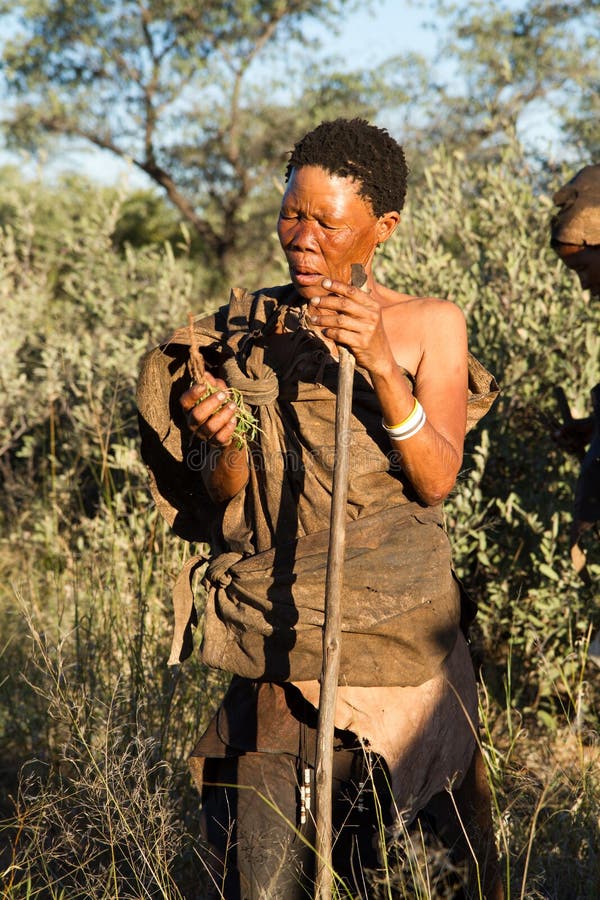 Botswana bushmen editorial stock photo. Image of arrow - 93876288