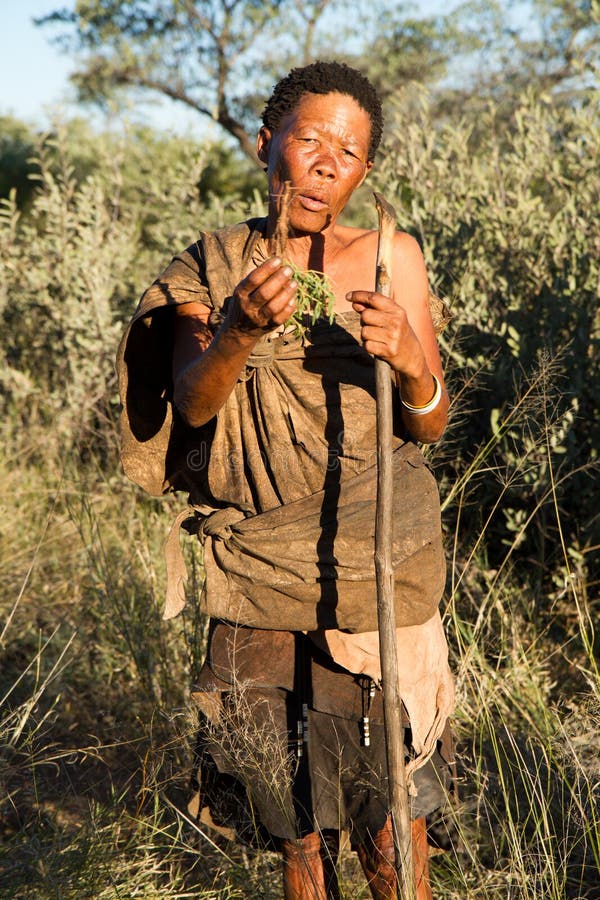 Botswana bushmen editorial photo. Image of hunt, ancestor - 93876526