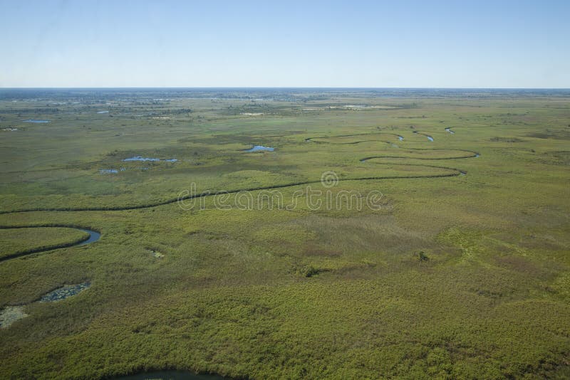 African Landscape: Delta River Coursing through Trees Stock Image ...