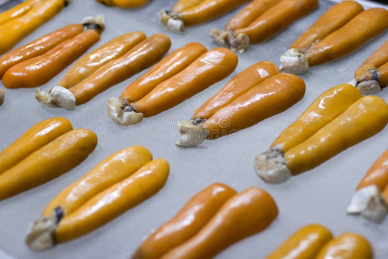 Bottarga stock photo. Image of bottarga, mullet, drying - 42950502