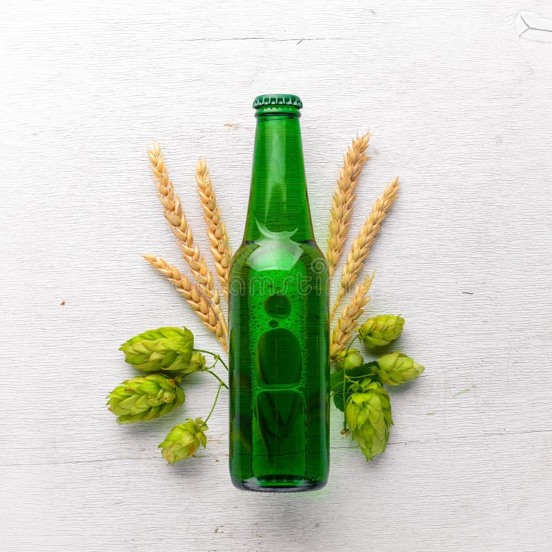 A Bottle of Beer, Hops and Grain. Top View Stock Image - Image of pint ...