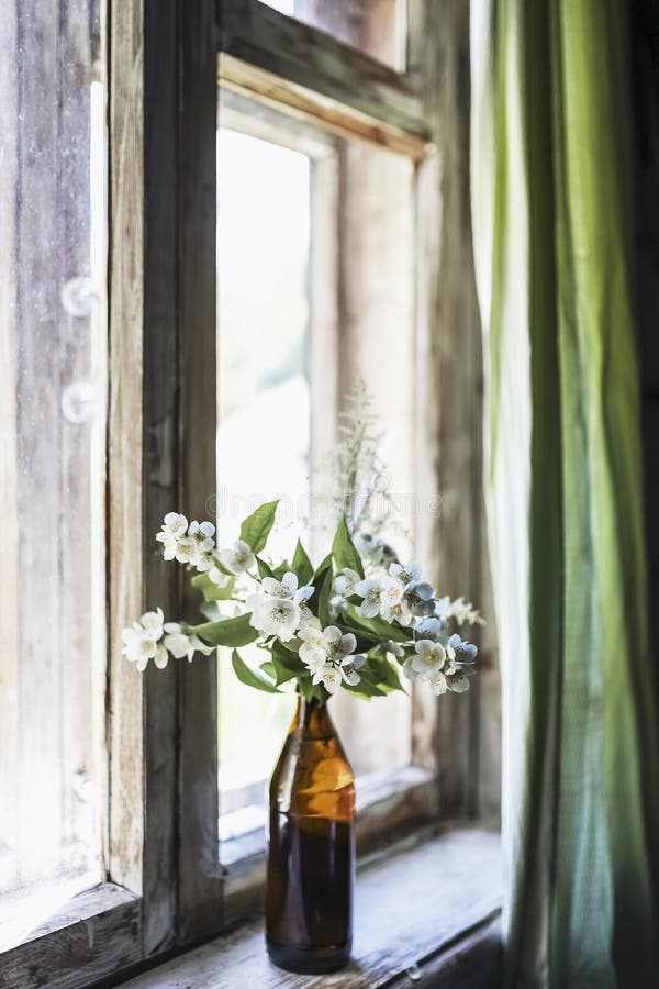 A Bottle with Blooming Jasmine Branches by the Window in a Rustic House ...
