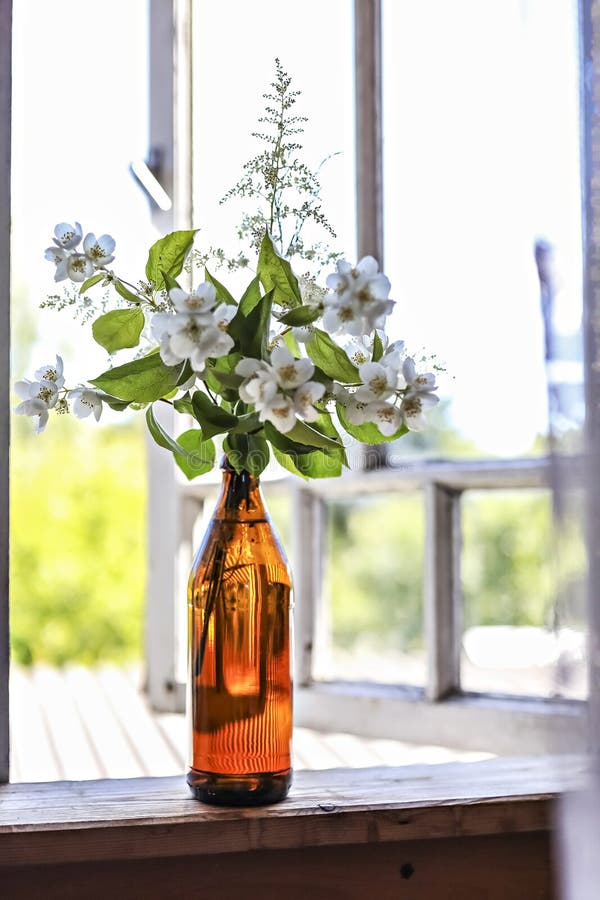 A Bottle with Blooming Jasmine Branches by the Window in a Rustic House ...