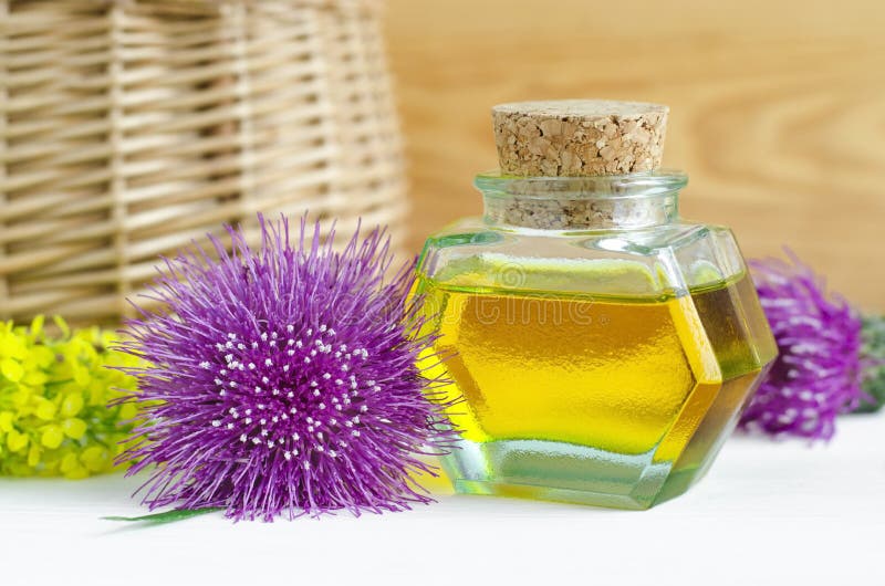 Bottle of burdock oil stock photo. Image of herb, care - 73229000