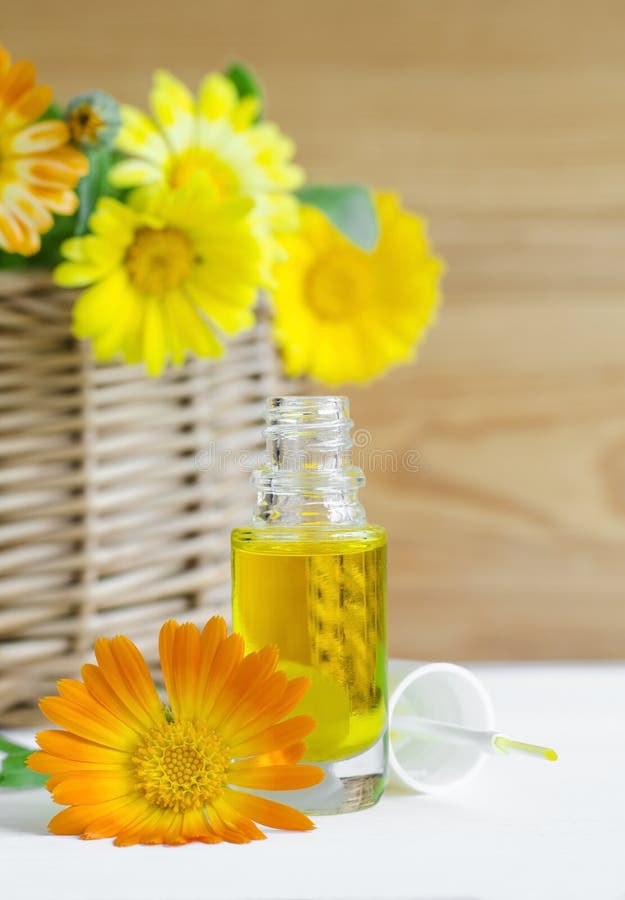 Bottle of Calendula Oil (Pot Marigold Extract, Tincture, Infusion ...