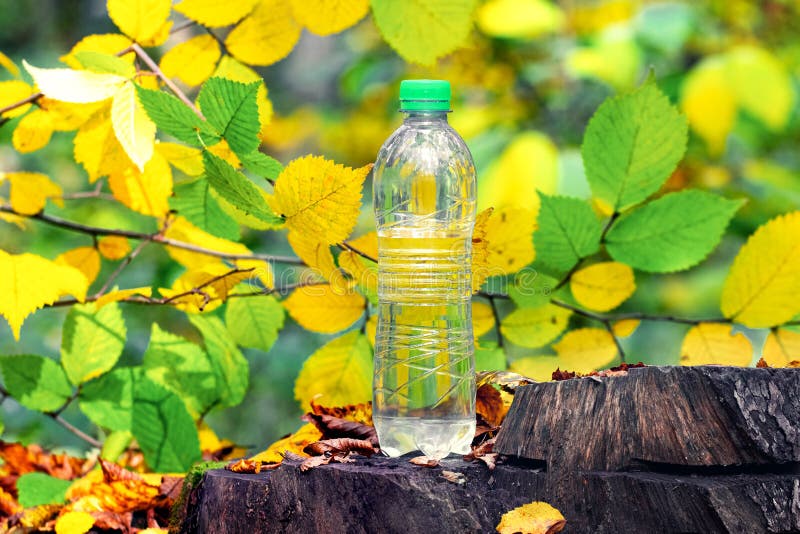 Bottle of Clean Drinking Water in the Autumn Forest on a Stump Stock ...
