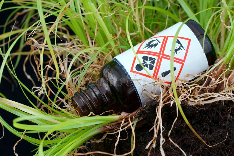 Bottle of Dangerous Fluids in the Grass. Stock Image - Image of ...