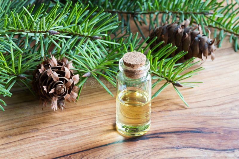 A Bottle of Essential Oil with Douglas Fir Branches Stock Photo - Image ...
