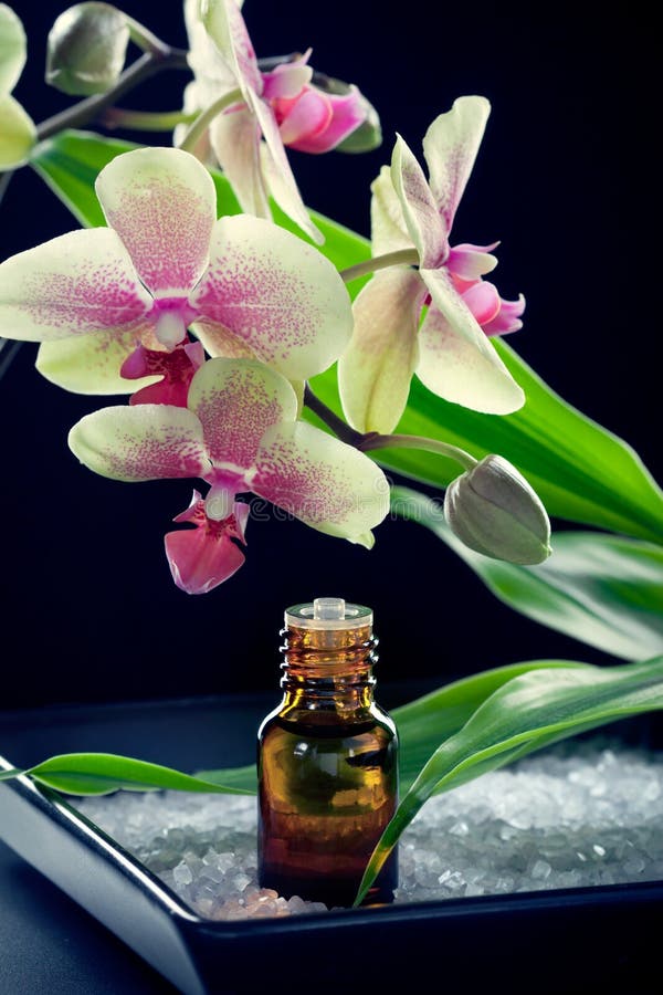 Bottle of Essential Oil with Orchid Flowers Stock Photo - Image of ...
