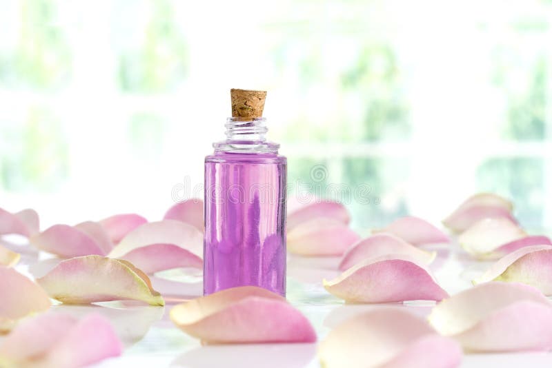Bottle of Essential Oil and Pink Rose Isolated on White Stock Photo ...
