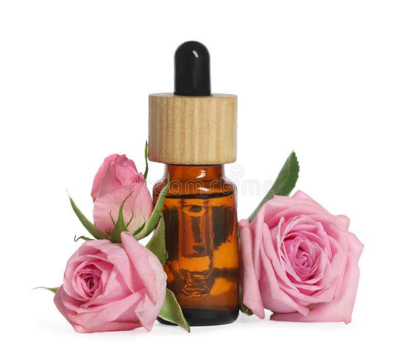 Bottle of Essential Rose Oil and Flowers Against White Background Stock ...
