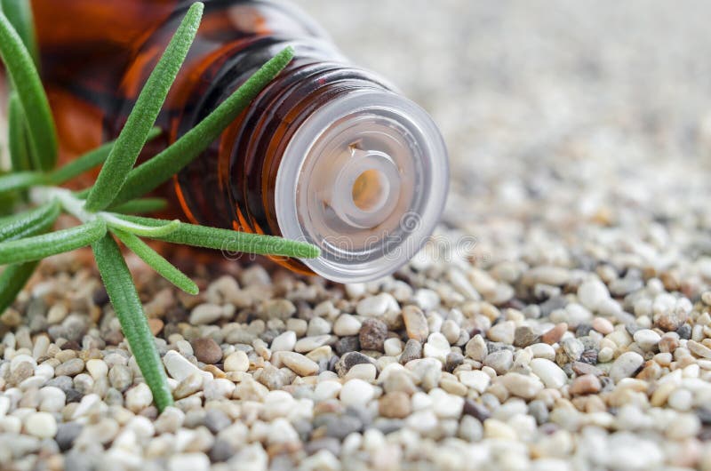 Bottle of Essential Rosemary Oil. Bottle Dropper Tip Insert Close Up ...