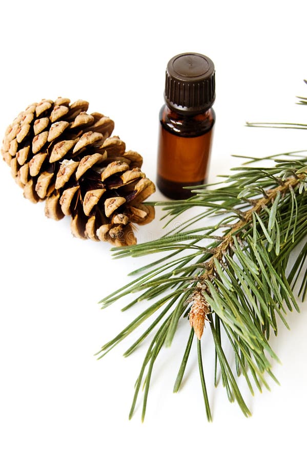 Bottle Of Fir Tree Oil Picture. Image: 13944655