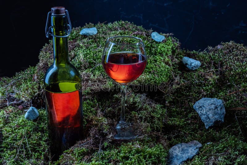 Bottle and Glass of Wine on Moss. Composition with Wine and Moss Stock ...