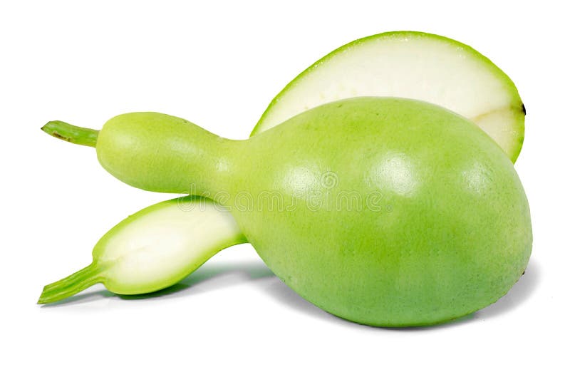 296 Bottle Gourd Leaf Isolated Stock Photos - Free & Royalty-Free Stock ...