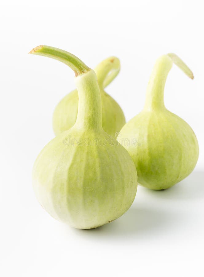 Bottle Gourd Fruit Isolated Stock Image - Image of freshness, squash ...