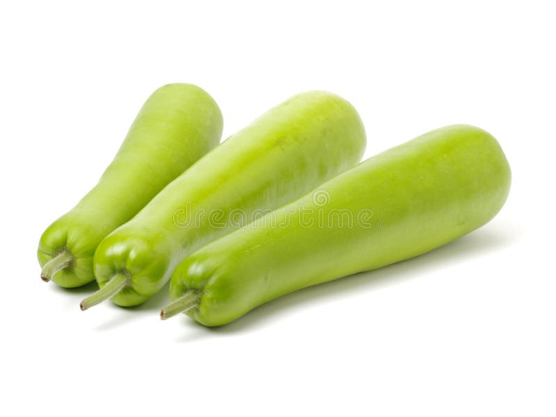Bottle gourd vegetable stock image. Image of gourd, healthy - 132909379