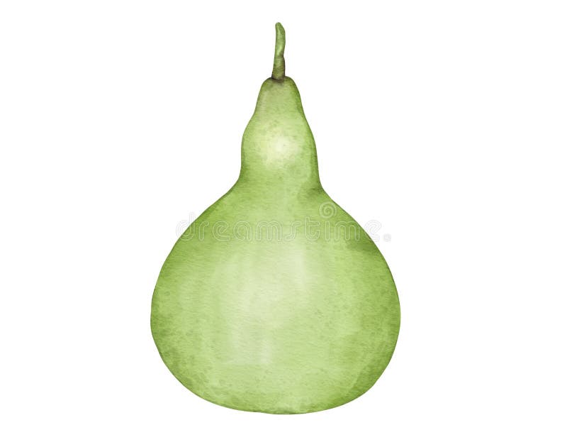Upo Vegetable Drawing