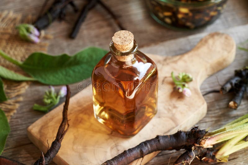 Comfrey Root Tincture in a Glass Bottle Stock Image - Image of flower ...
