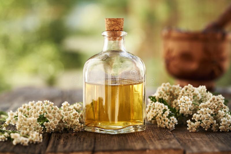 A Bottle of Herbal Tincture with Fresh Blooming Yarrow Plant Stock ...