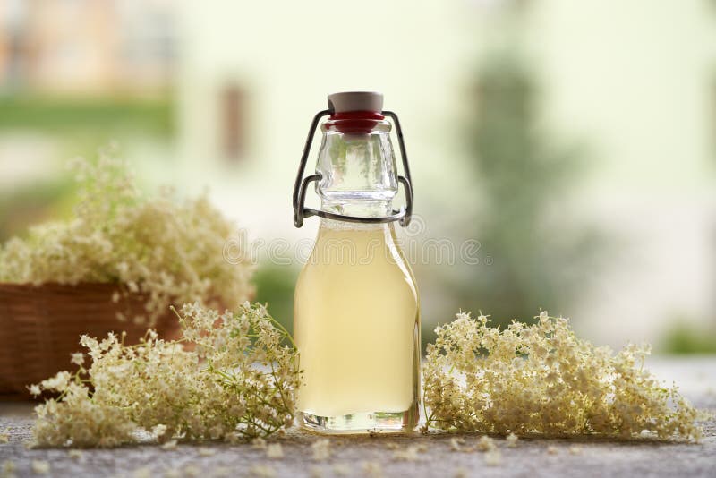 A Bottle of Homemade Elderberry Flower Syrup Outdoors Stock Image ...