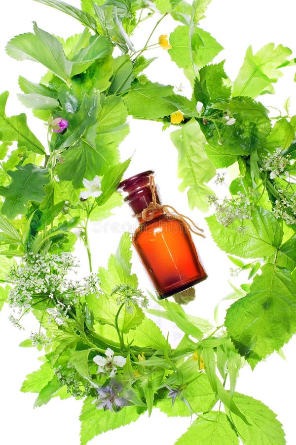 Bottle with Homeopathy Balm Stock Photo - Image of green, inflorescence ...