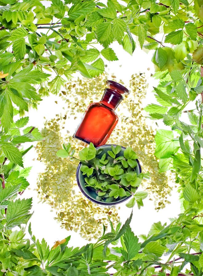 Bottle with Homeopathy Balm Stock Photo - Image of green, inflorescence ...