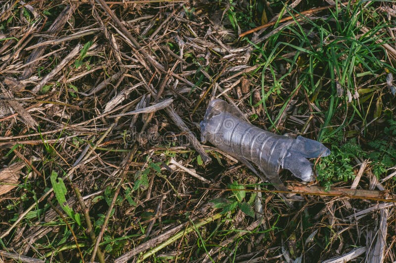 Bottle is Laying on the Ground in a Field Stock Image - Image of macro ...