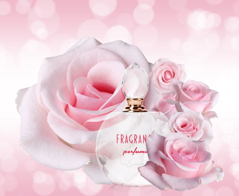 Bottle of Luxury Perfume and Beautiful Roses on Pink Background Stock ...