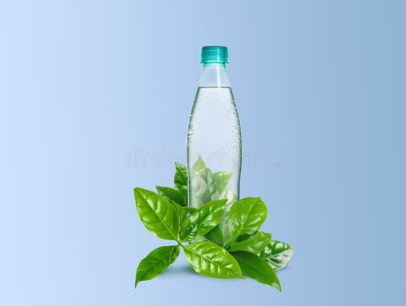 Bottle Made of Biodegradable Plastic and Green Leaves on Light Blue ...