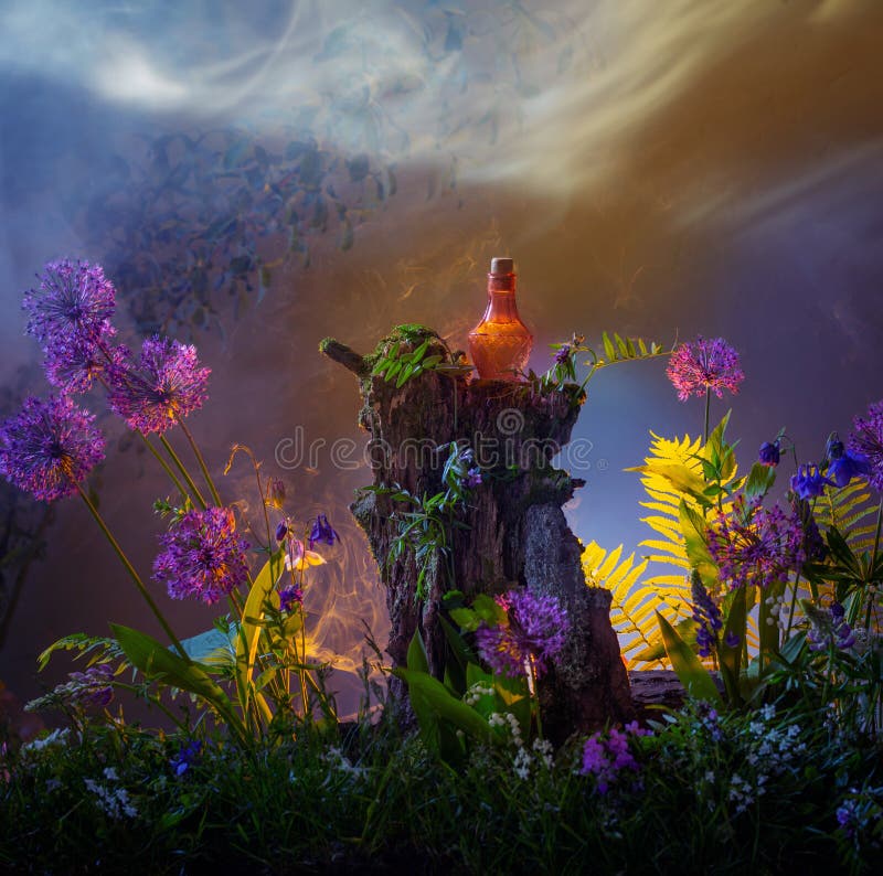 Bottle of Magic Potions in Magical Forest Stock Photo - Image of ...