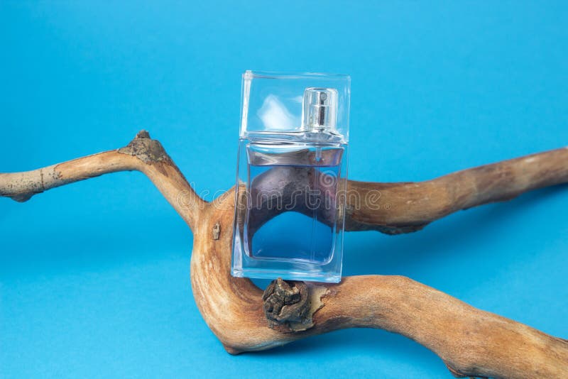 A Bottle of Men S Cologne on a Branch on a Blue Background. Stock Photo ...