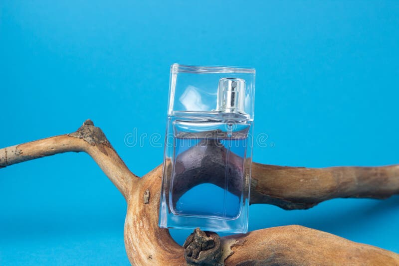 A Bottle of Men S Cologne on a Branch on a Blue Background. Stock Photo ...