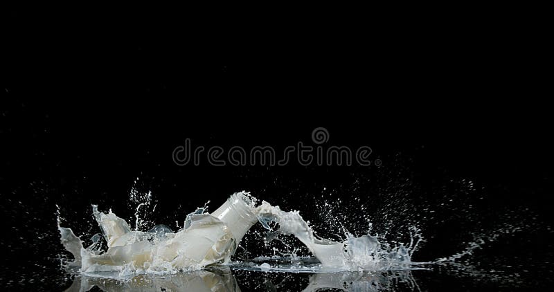 Bottle of Milk Falling and Exploging Against Black Background Stock ...