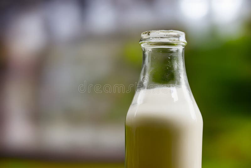 A Bottle of Milk, a Natural and Healthy Drink, Good Nutrition, Calcium ...