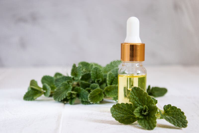A Bottle of Mint Essential Oil with Fresh Mint Leaves in the Background ...