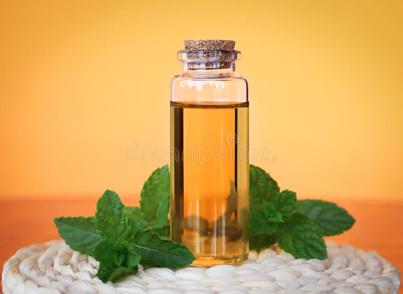 Mint oil stock image. Image of bottle, green, orange - 235000409