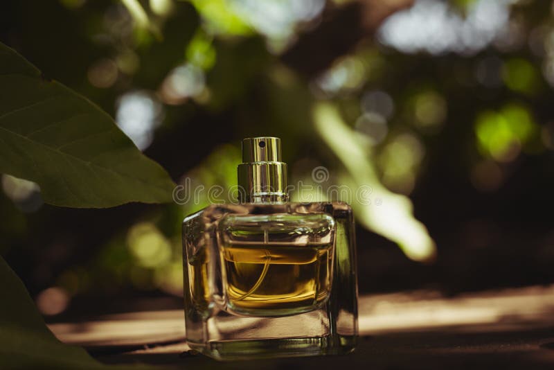 Bottle of modern perfume stock photo. Image of perfumery - 98944944