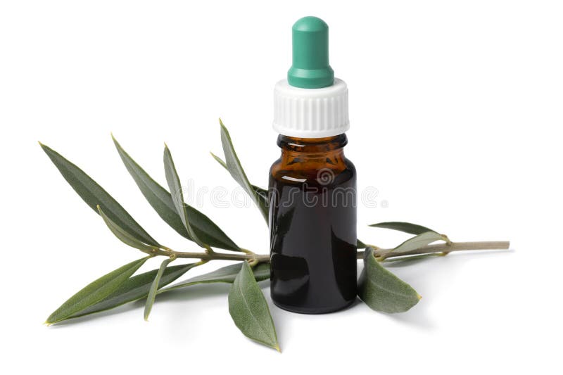 Bottle with Olive Leaf Extract and a Fresh Twig of Olive Leaves on ...