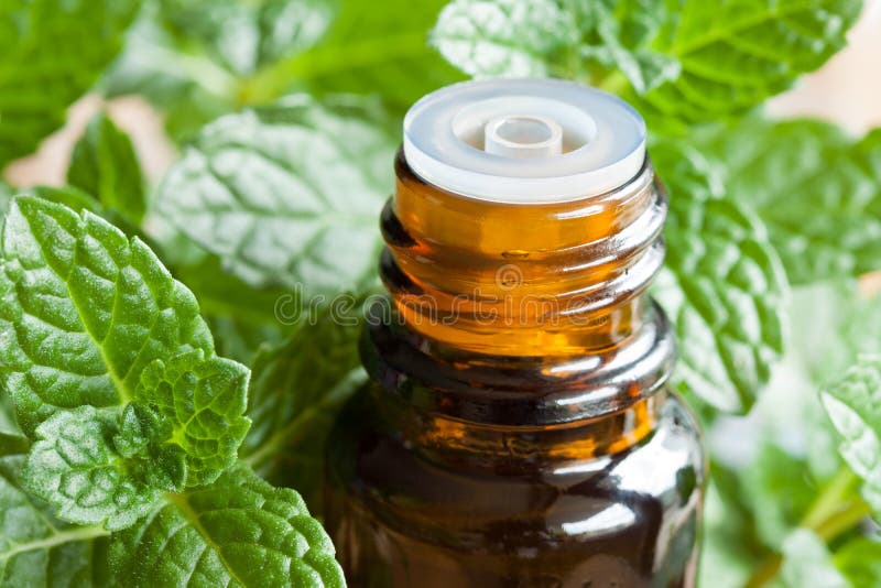 A Bottle of Peppermint Essential Oil with Fresh Mint Leaves Stock Photo ...