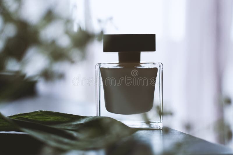 Perfume Essence on a White Background with Sunlight and Shadow of ...
