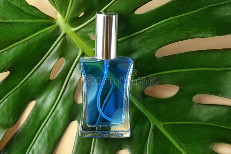 Bottle of Perfume on Green Tropical Leaf Stock Photo - Image of floral ...