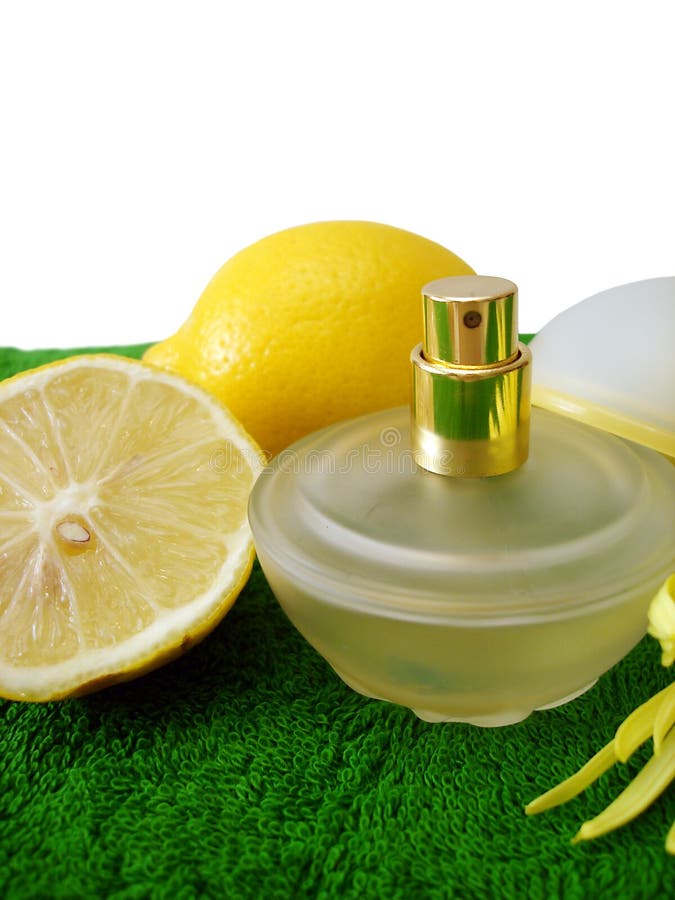 Citrus tree stock photo. Image of dressing, green, nice - 7205560
