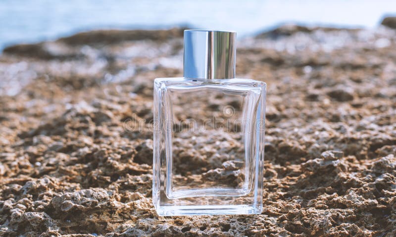 Perfume on rock stock photo. Image of glass, luxury - 138643734