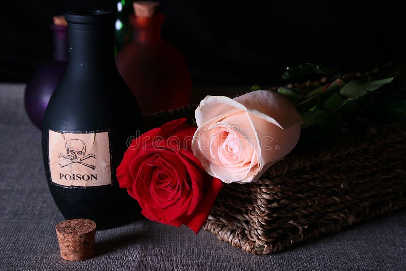 Bottle with poison stock image. Image of bottle, chemistry - 11168135