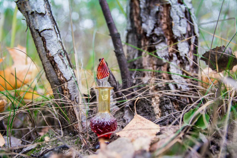 Bottle of Poison, Poisonous Capsule, Halloween Stock Image - Image of ...