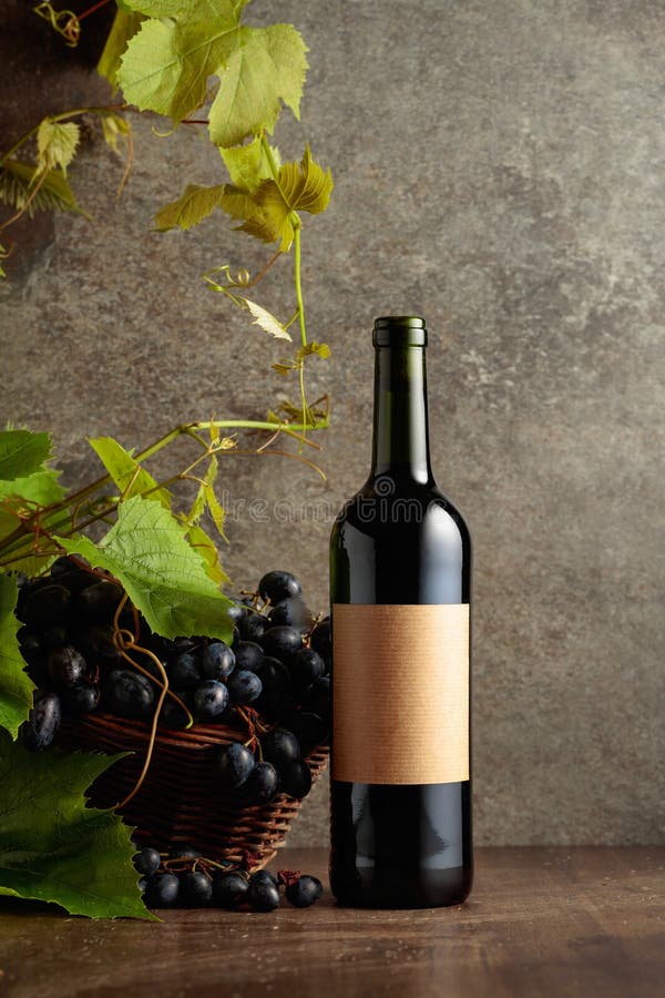 Bottle of Red Wine with Blue Grapes and Vine Branches Stock Image ...