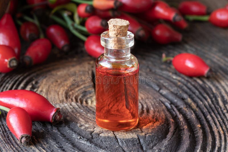 A Bottle of Rosehip Seed Oil with Fresh Rosehips Stock Photo - Image of ...