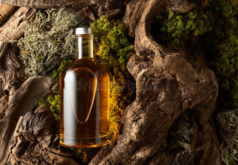 Bottle of Strong Alcoholic Drink, Old Snags, and Moss Stock Photo ...