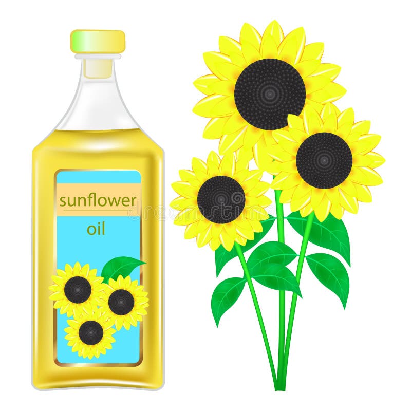 Bottle of Sunflower Oil Vector Illustration Stock Vector - Illustration ...